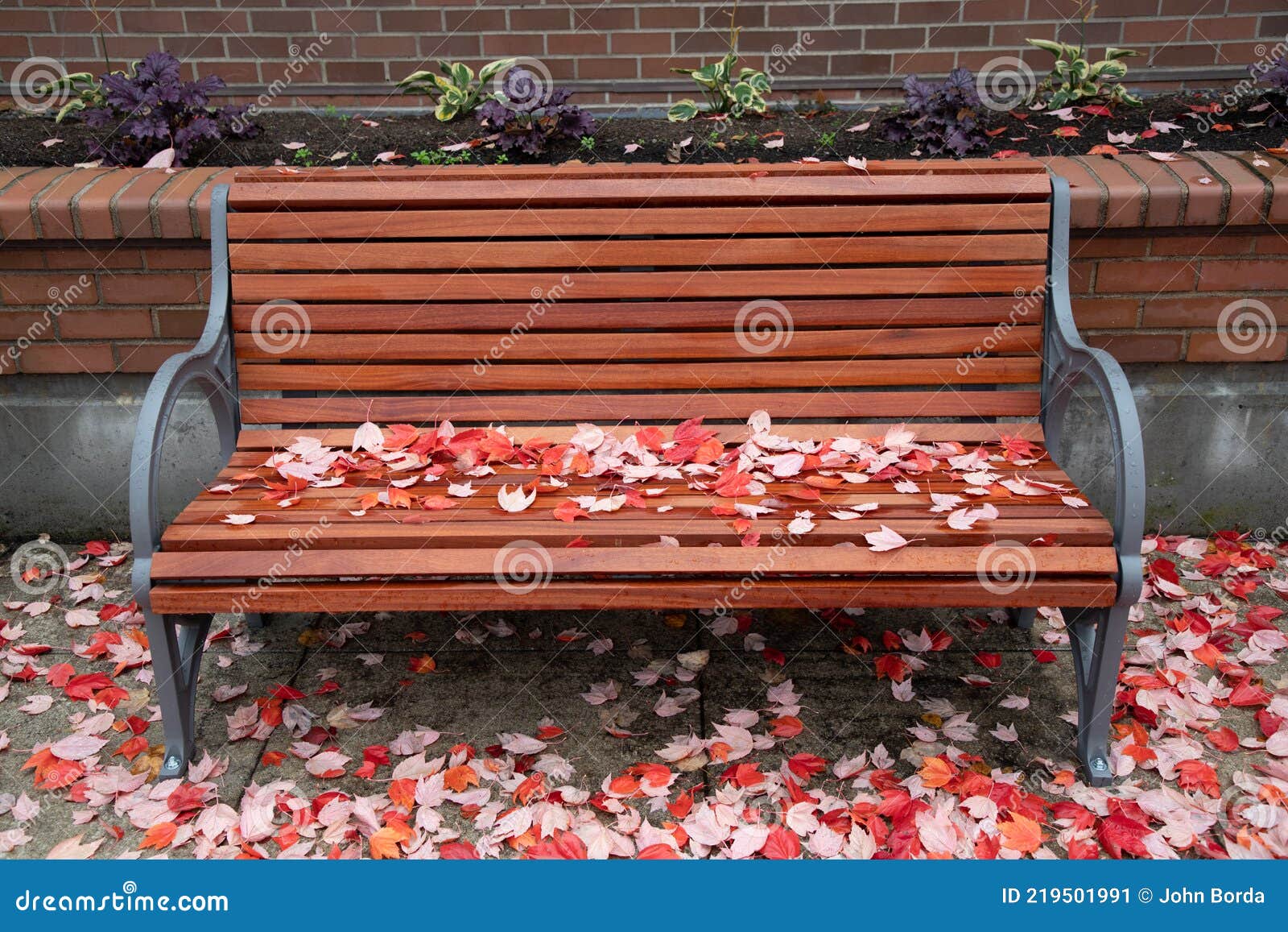 Autumn Leaves on a Park Bench Stock Image - Image of forest, leaves ...