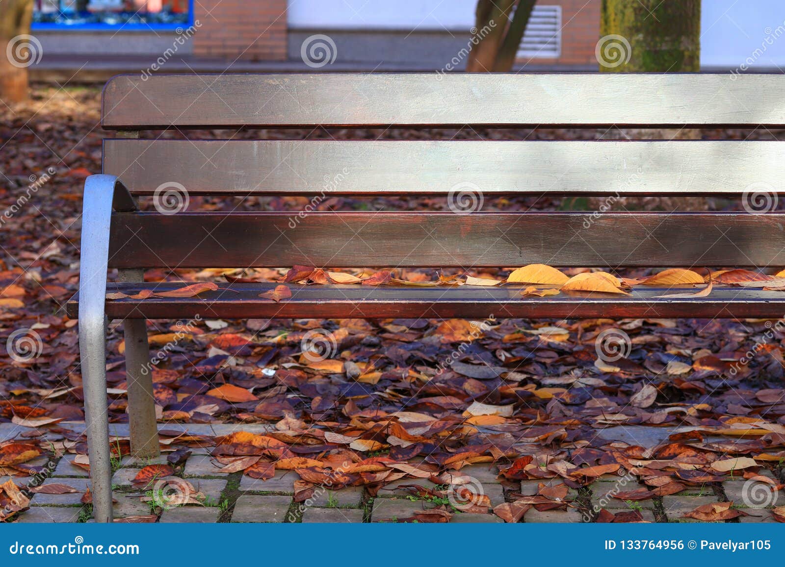 Autumn Leaves on a Park Bench Stock Photo - Image of scene, autumn ...