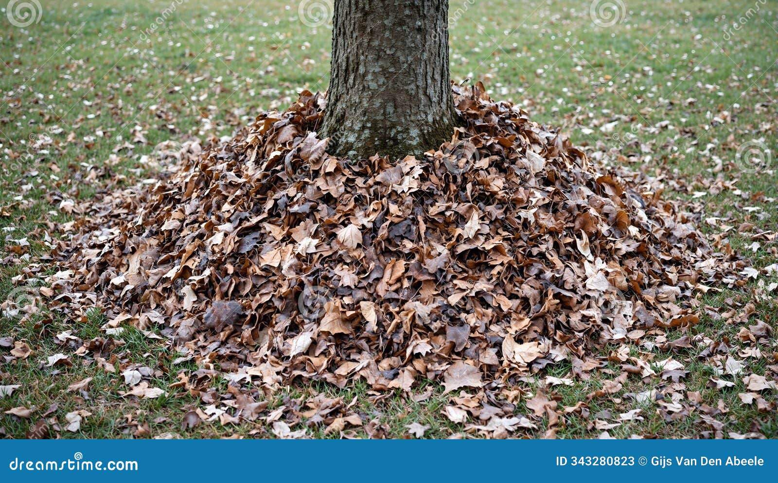 Autumn Messy Bun With Pumpkin , Girl With Messy Bun And Glasses ...