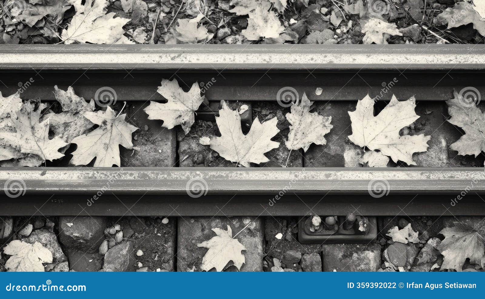 Autumn Leaves on Railroad Tracks in Black and White Stock Illustration ...
