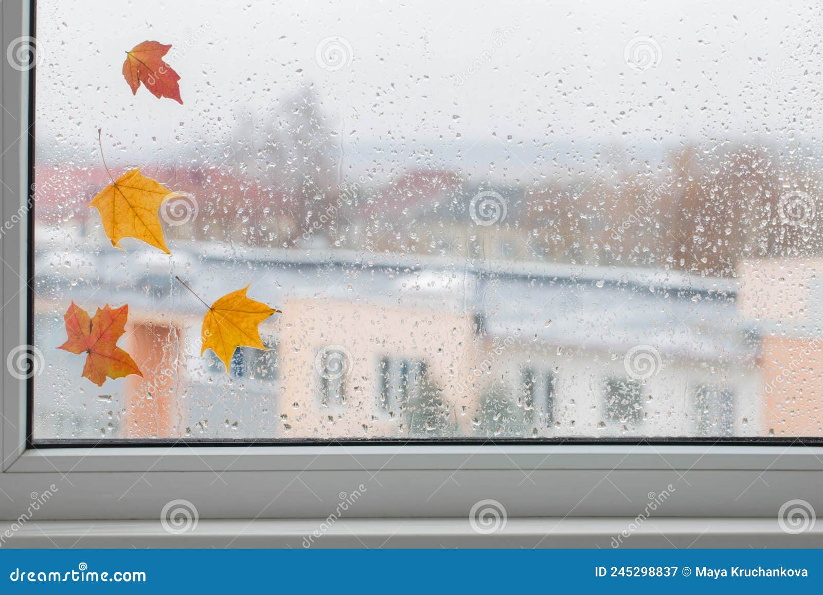 Autumn Leaves on Rainy Window Pane Stock Image - Image of abstract ...