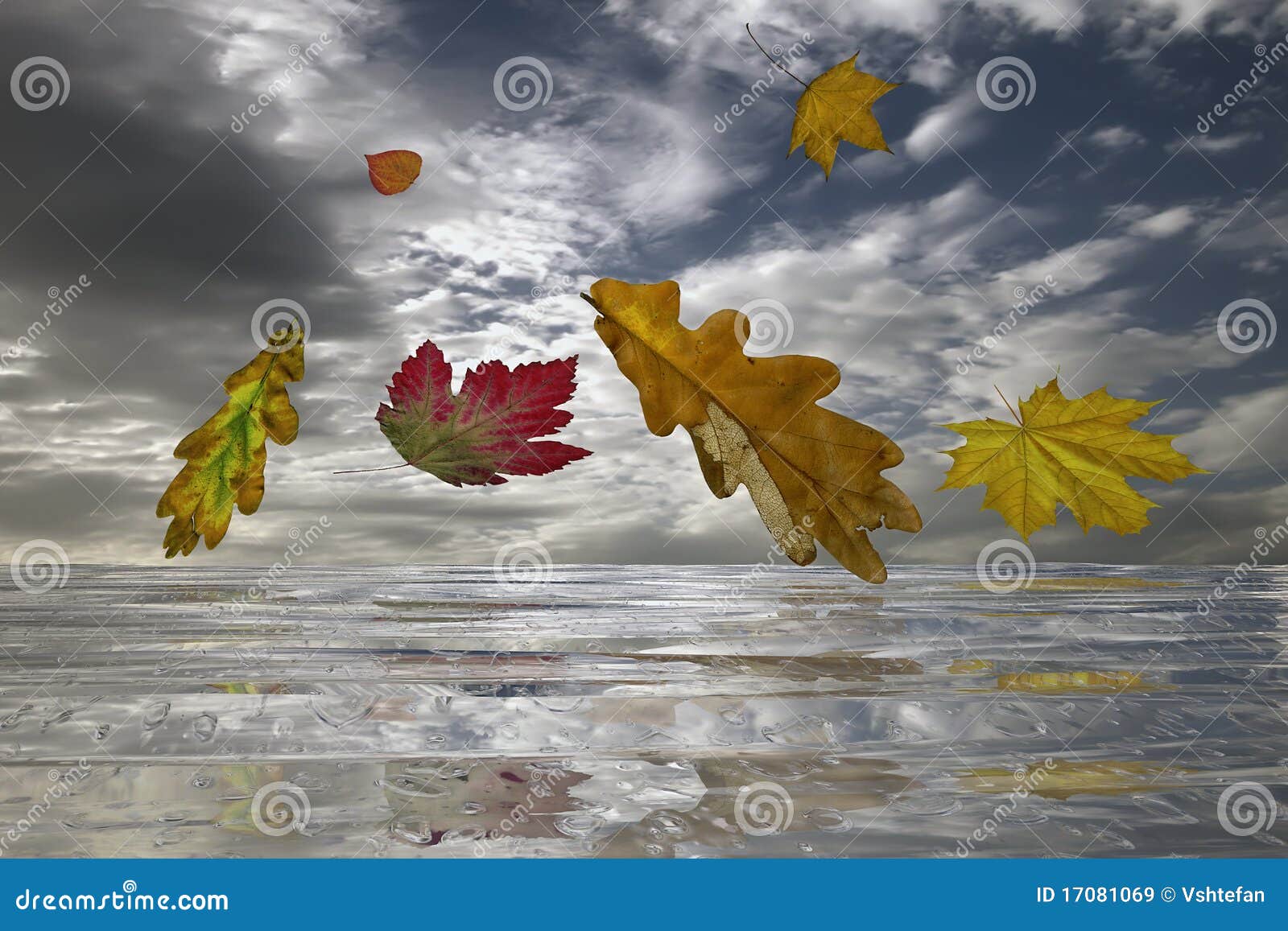 Autumn Leaves Reflecting in the Water Waves Stock Illustration ...