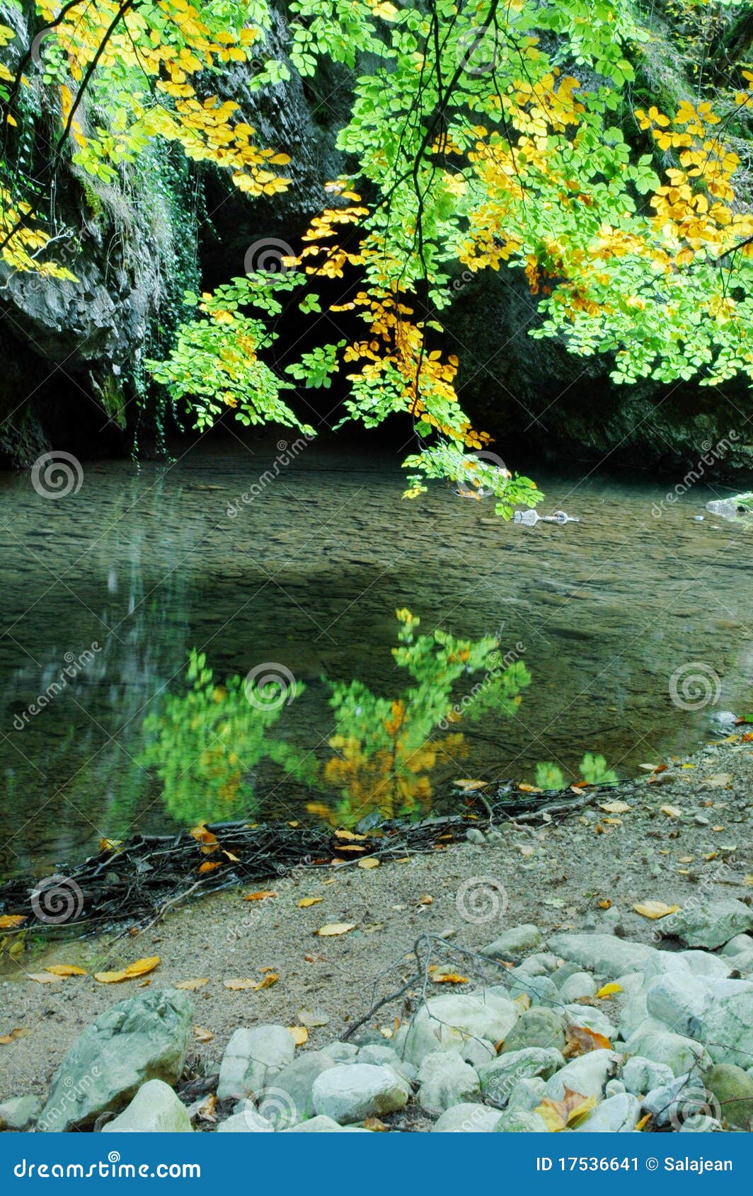 Autumn Leaves Reflection in Water Stock Image - Image of spring ...