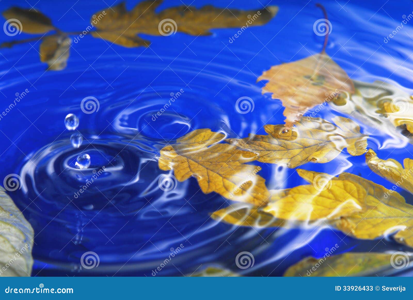 Autumn Leaves in Ripple Water Stock Image - Image of leaf, leaves: 33926433