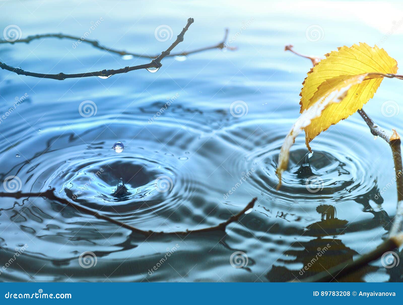 Autumn Leaves on Rippled Water Surface Stock Photo - Image of cold ...