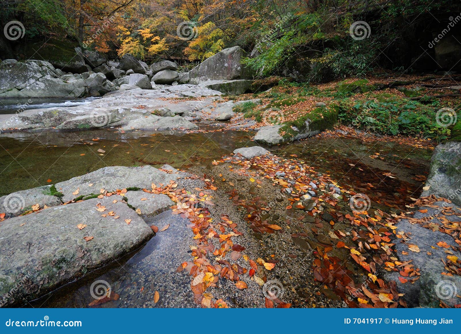 Autumn leaves in river stock image. Image of beauty, autumn - 7041917