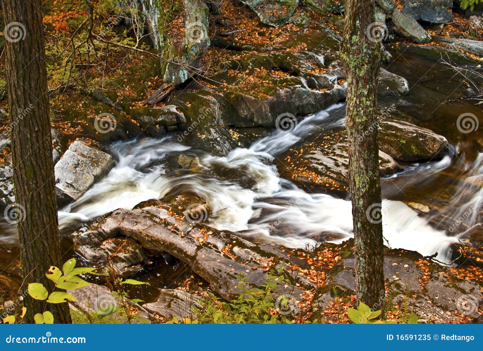 Autumn Leaves by River Stream Stock Image - Image of scene, landscape ...
