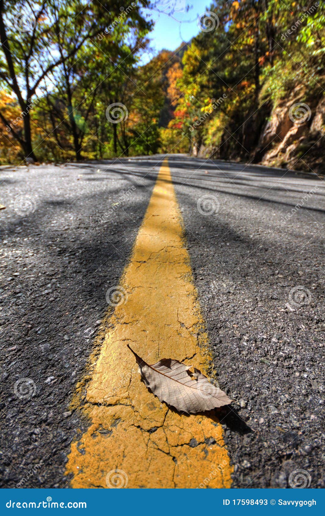 Autumn leaves on the road stock image. Image of flying - 17598493