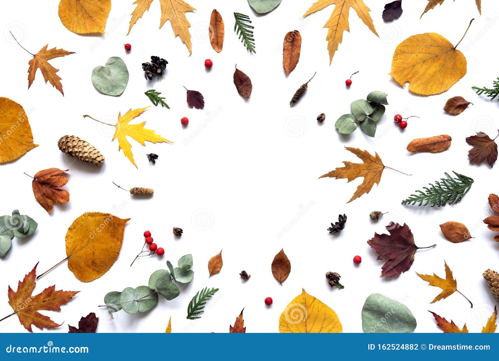 Autumn Leaves Round Pattern Stock Photo - Image of leaf, decor: 162524882