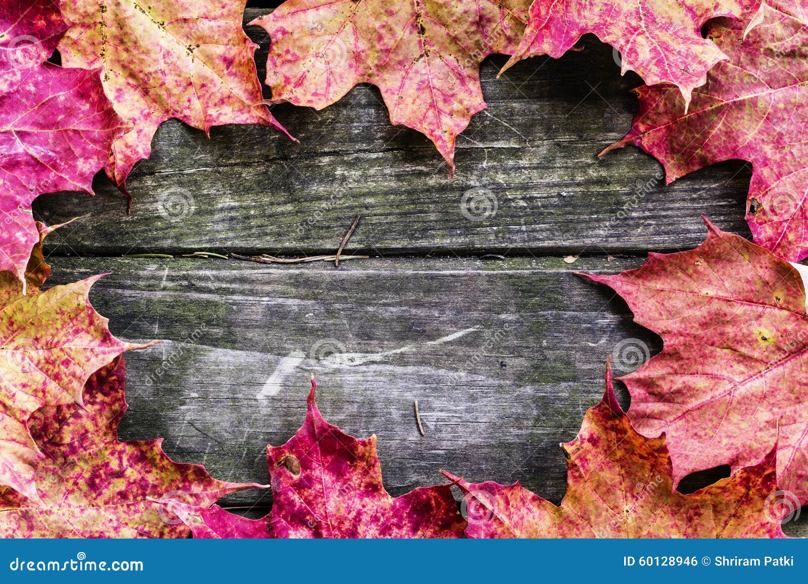 Autumn Leaves on Rustic Wooden Background Stock Photo - Image of ...