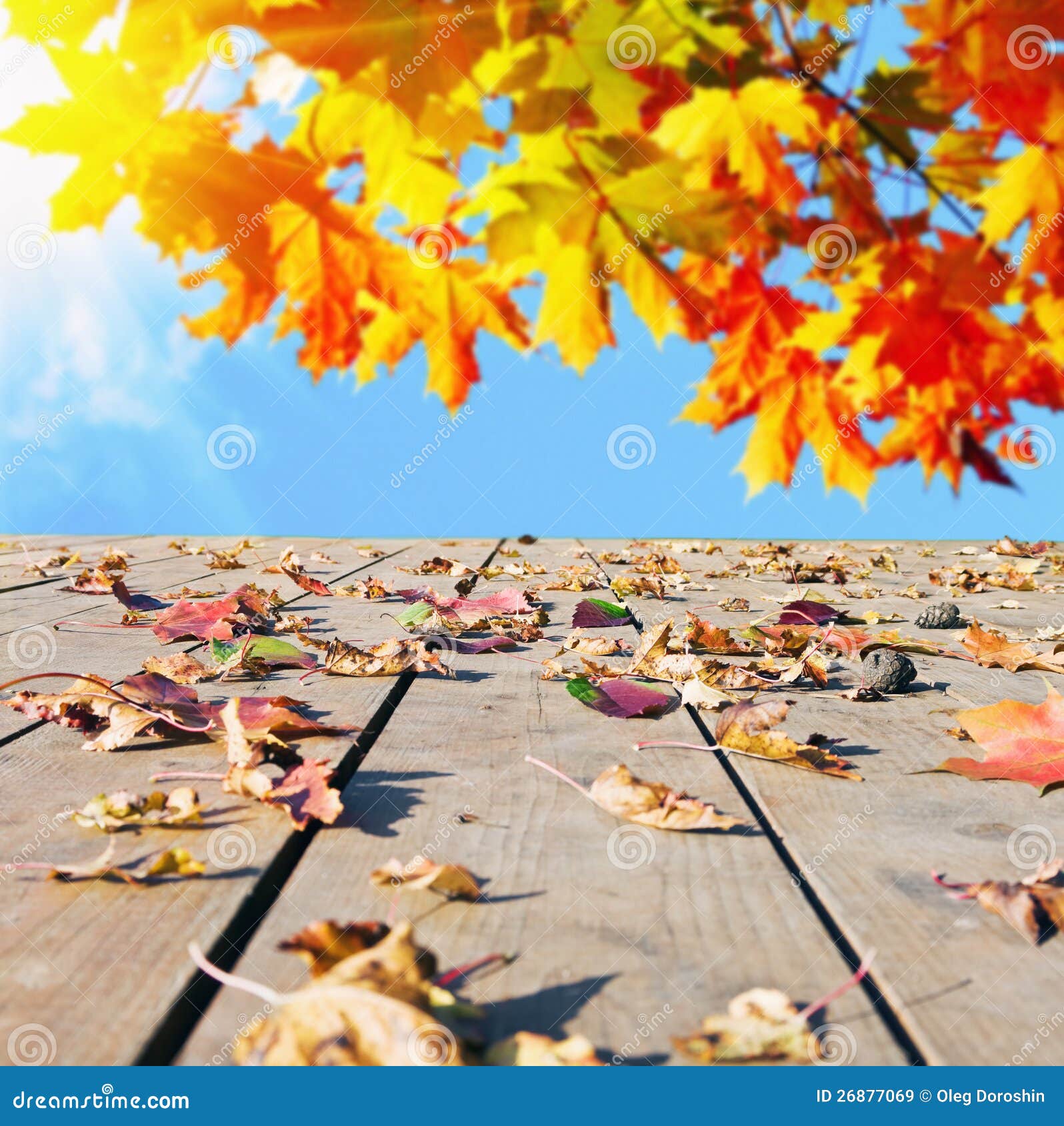 Autumn leaves scattered stock image. Image of autumn - 26877069