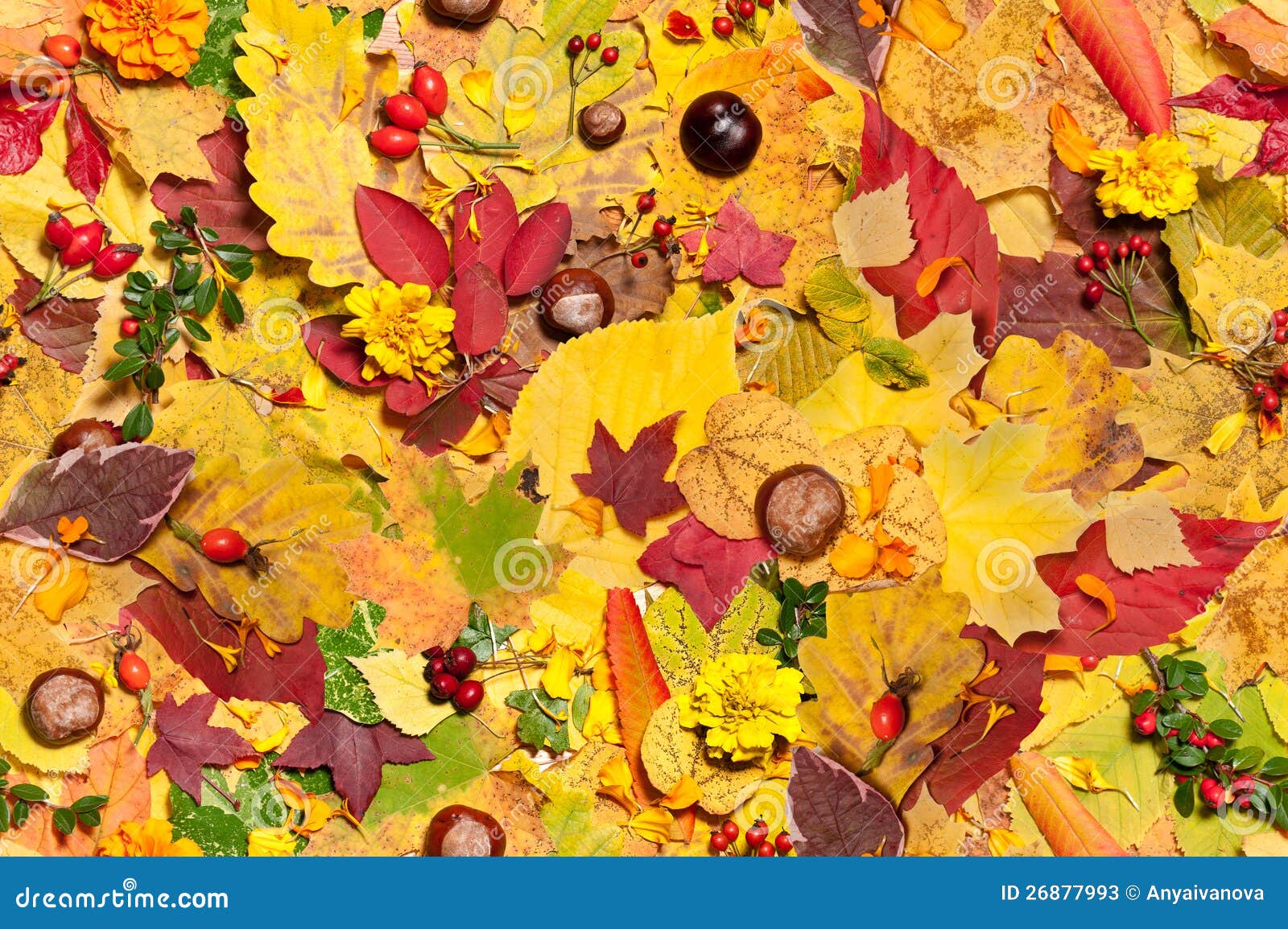 Autumn Leaves, Seamless Background Stock Image - Image of green ...