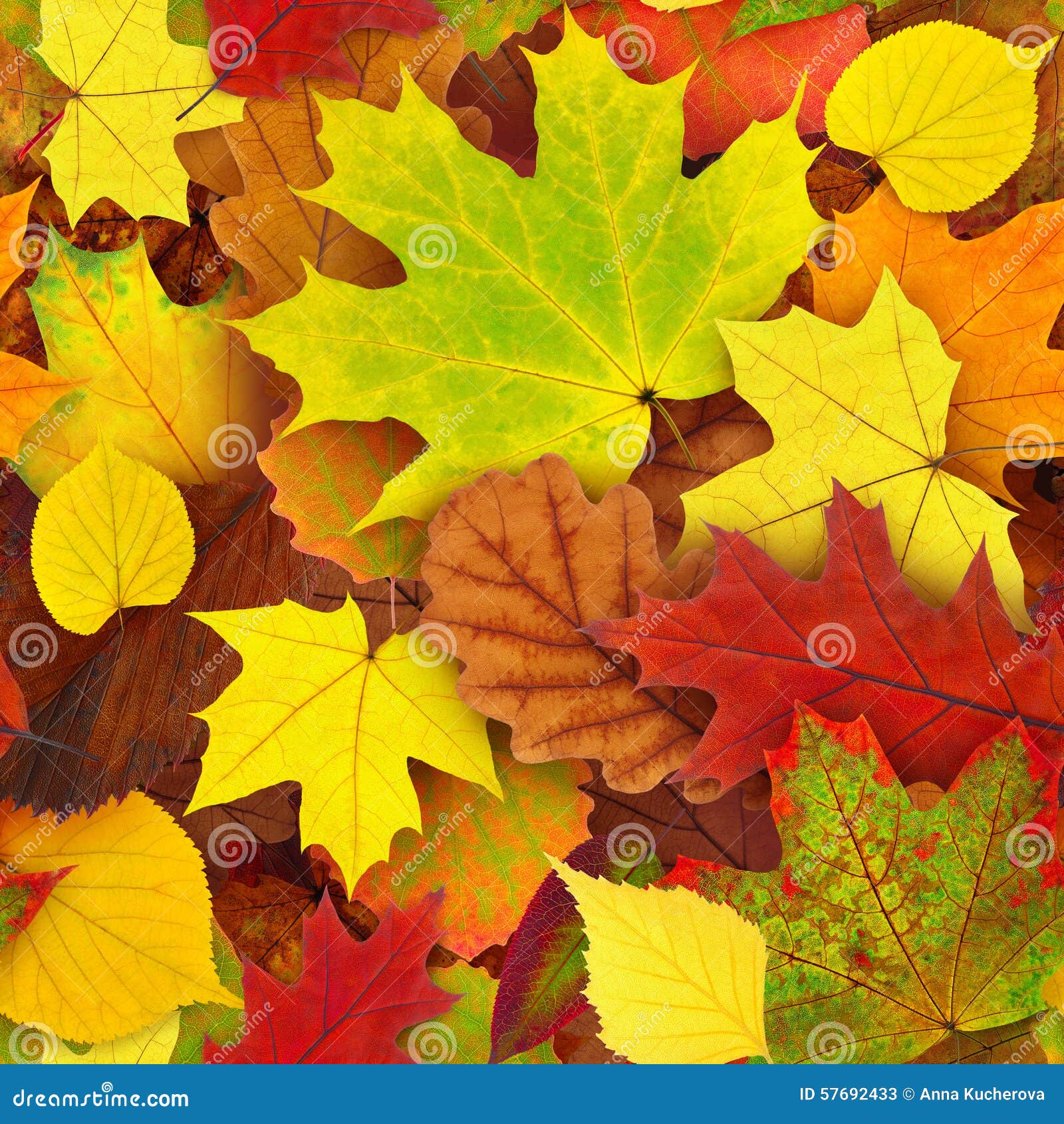 Autumn Leaves Seamless Pattern Stock Image - Image of golden, brown ...