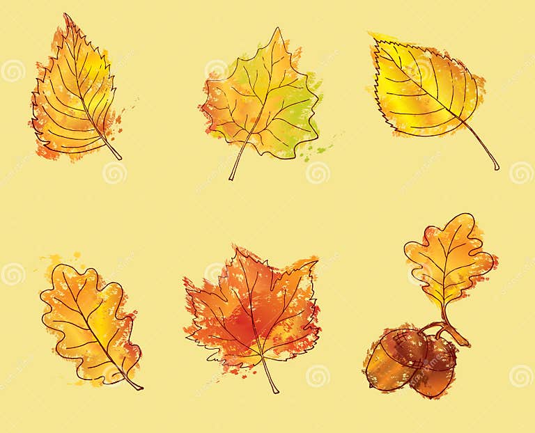 Autumn leaves set stock vector. Illustration of brown - 21582747