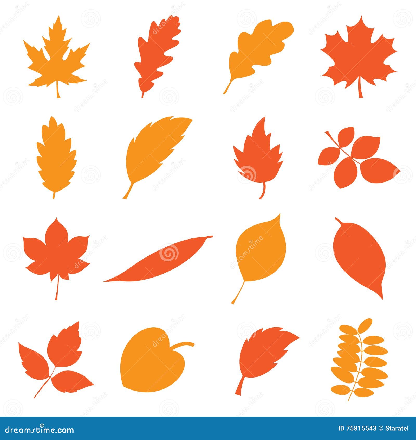 Autumn Leaves Set Stock Vector Illustration Of Flat 75815543