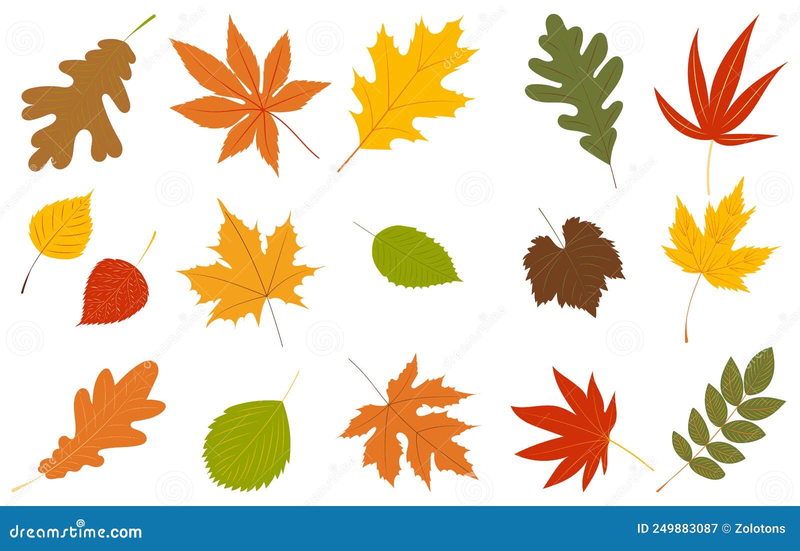 Autumn Leaves Set in Flat Design, Isolated Stock Illustration ...