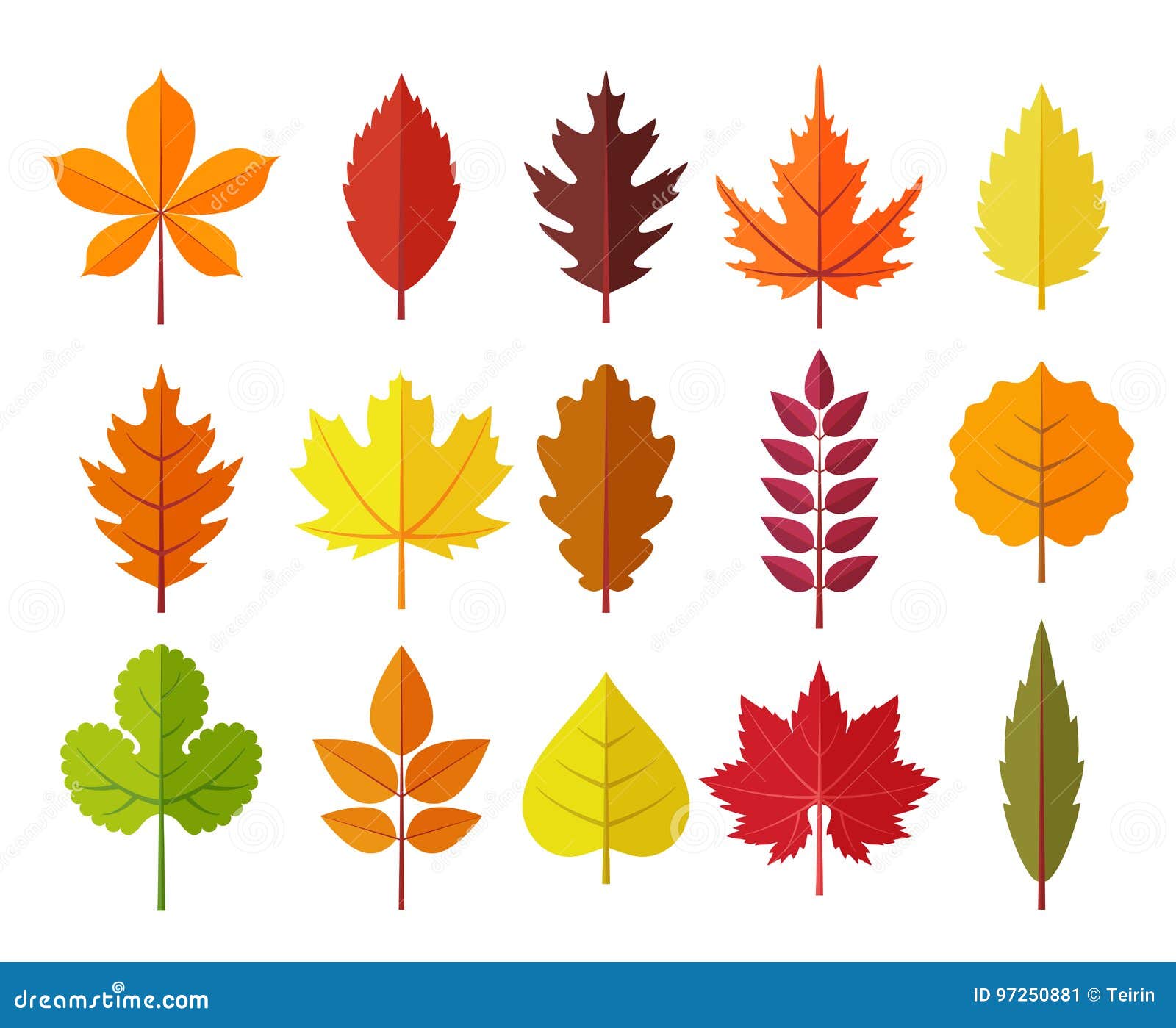 Autumn Leaves Set, Isolated on White Background. Simple Cartoon Flat ... Autumn Leaves Set, Isolated on White Background. Simple Cartoon Flat ...