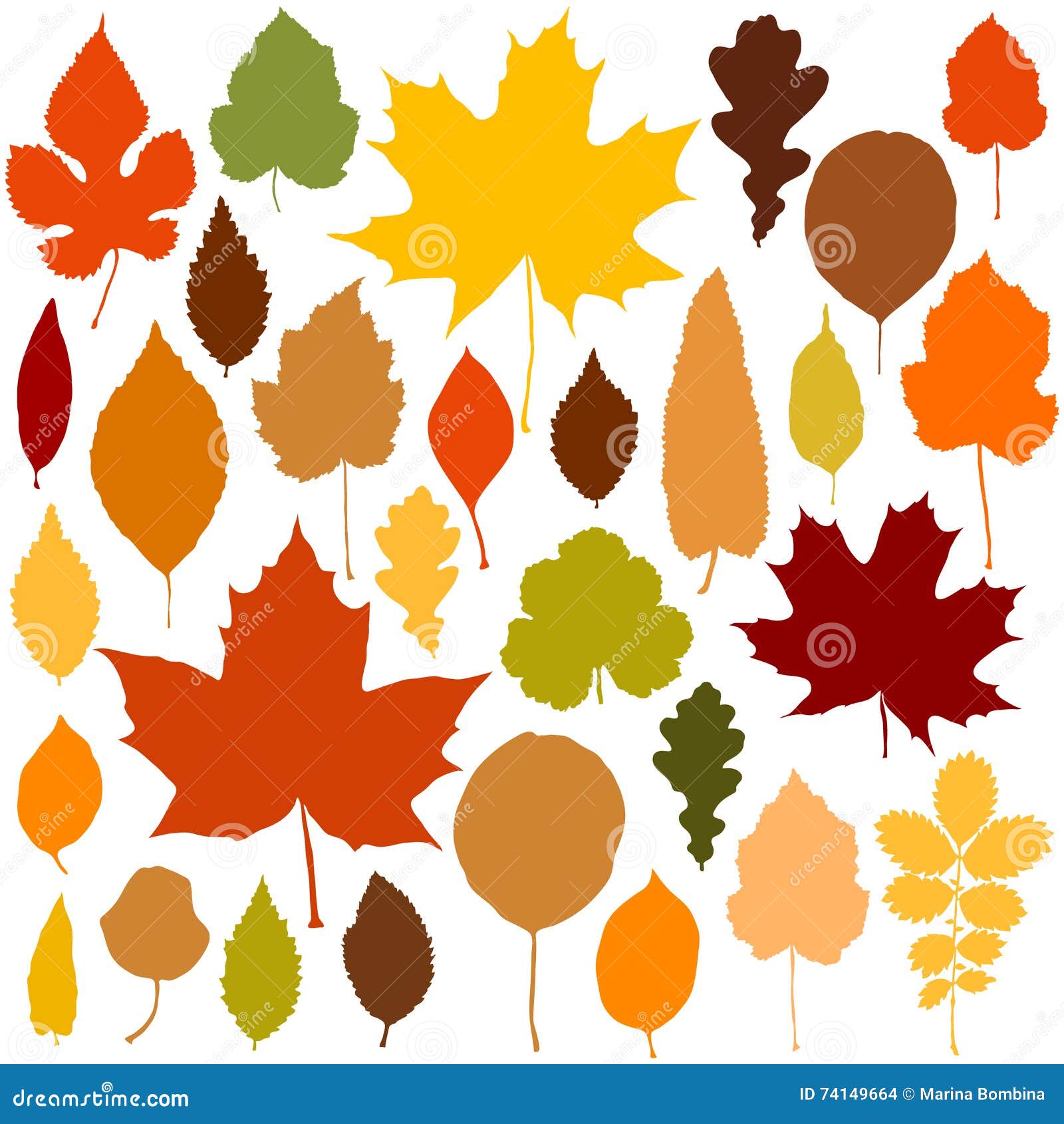 Autumn Leaves Set on White Background Stock Vector - Illustration of ...