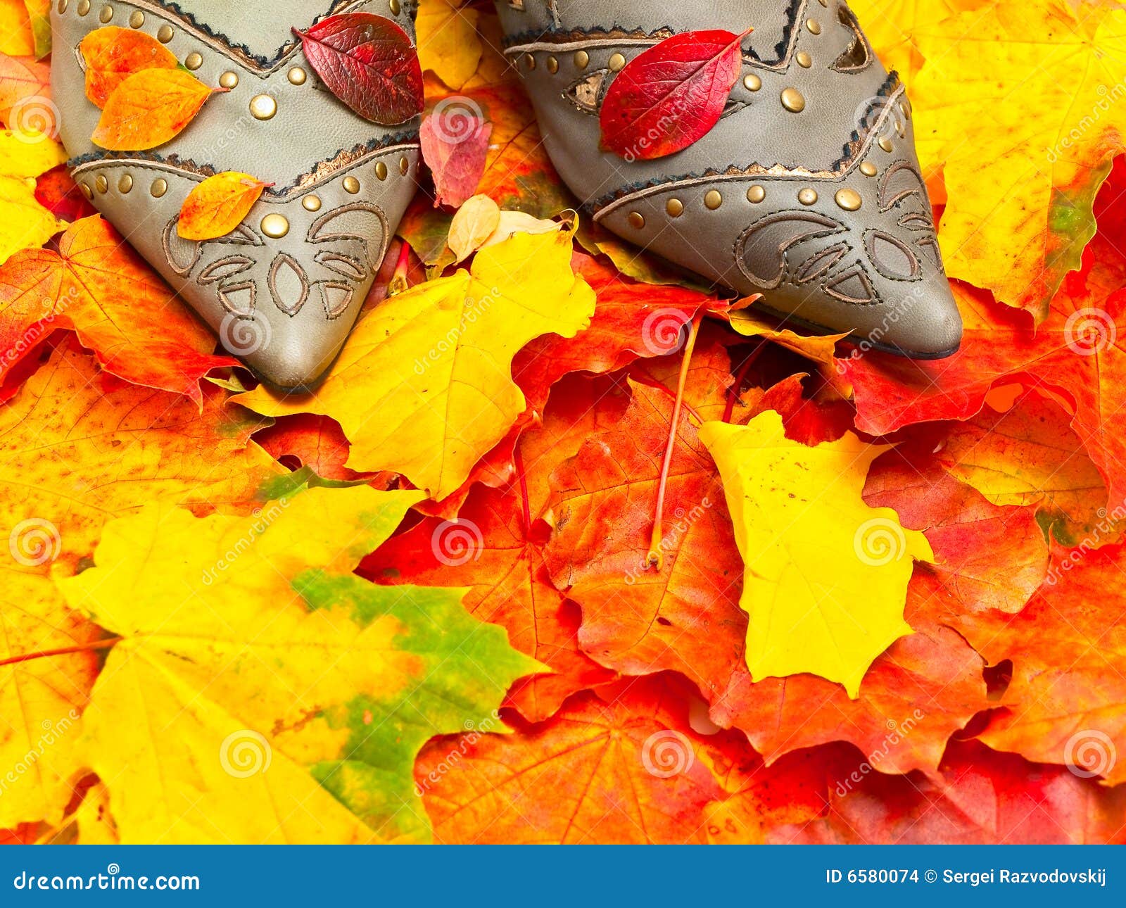 Autumn leaves and shoes stock photo. Image of decoration - 6580074