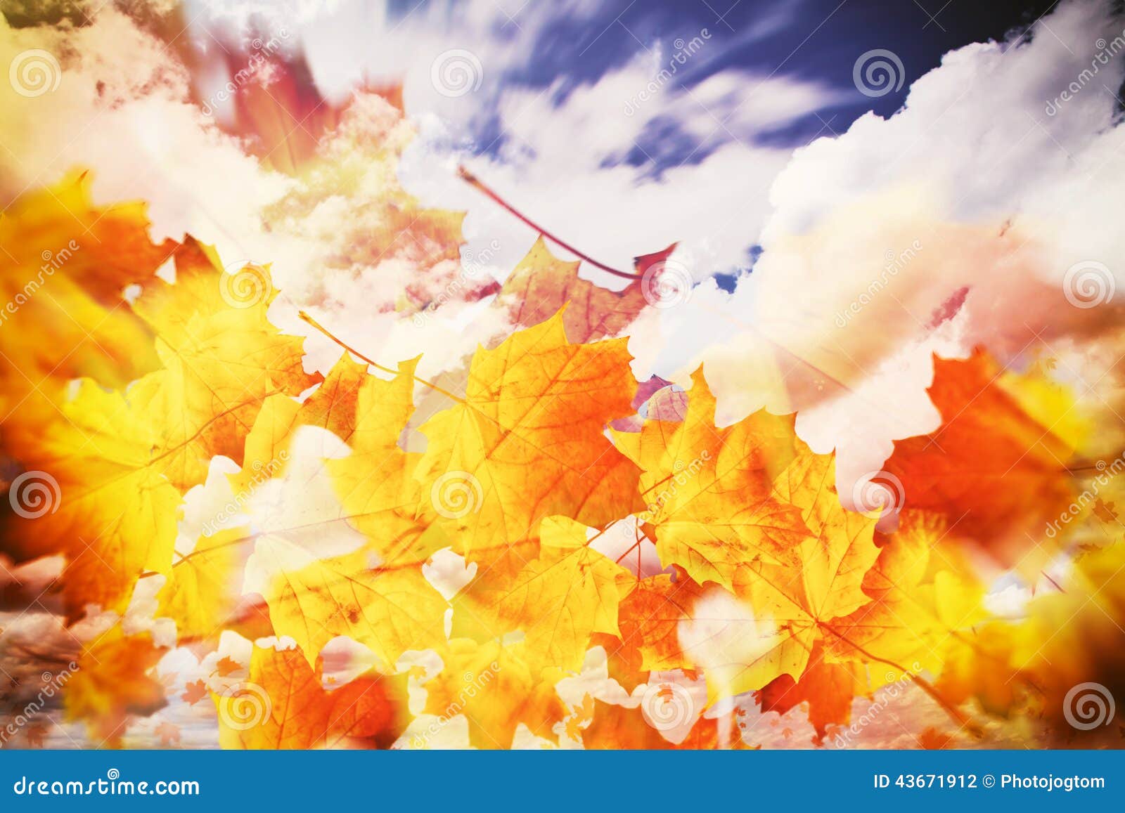 Autumn leaves in sky stock photo. Image of fall, bokeh - 43671912