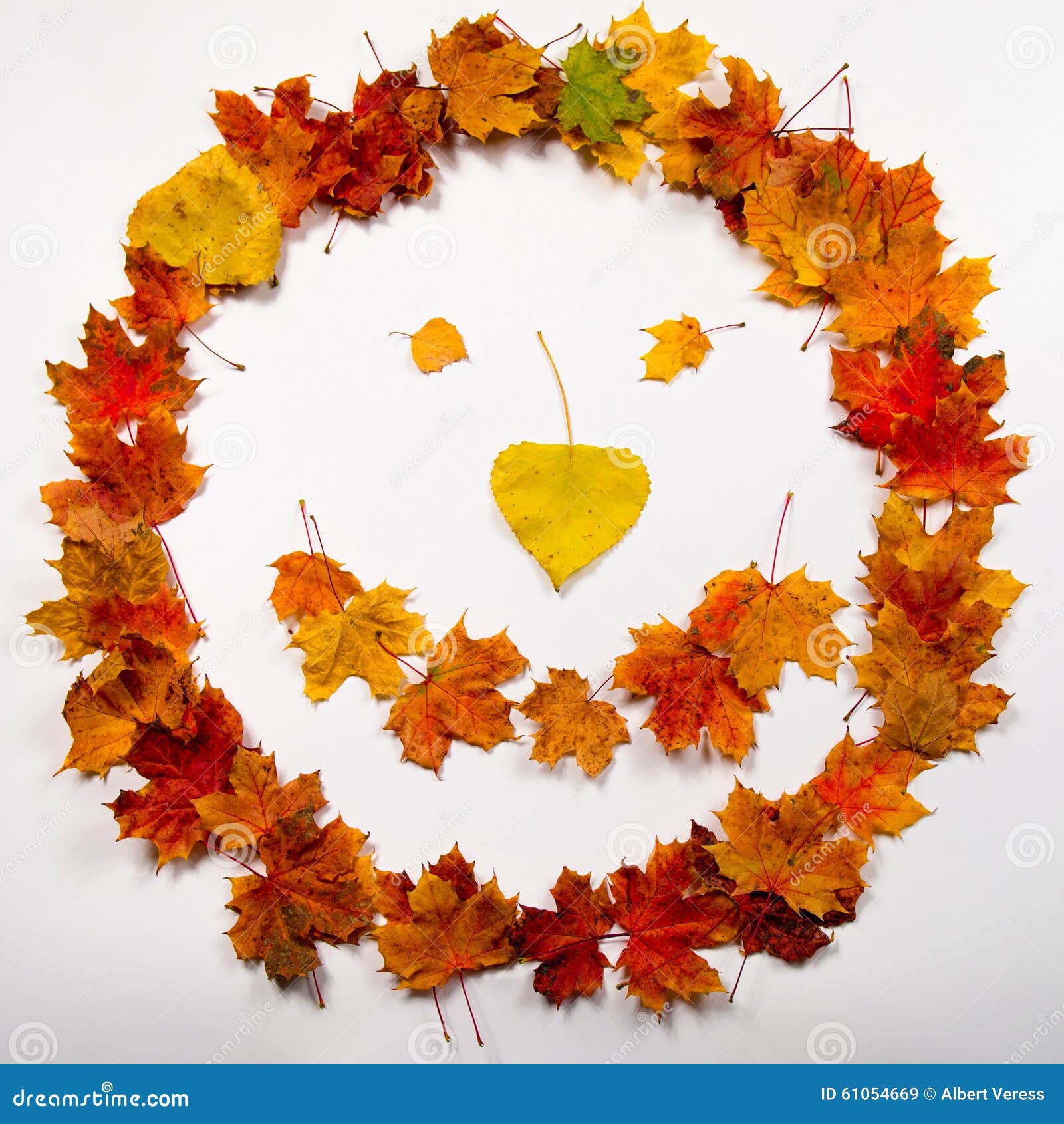 Autumn leaves smiley stock image. Image of border, october - 61054669