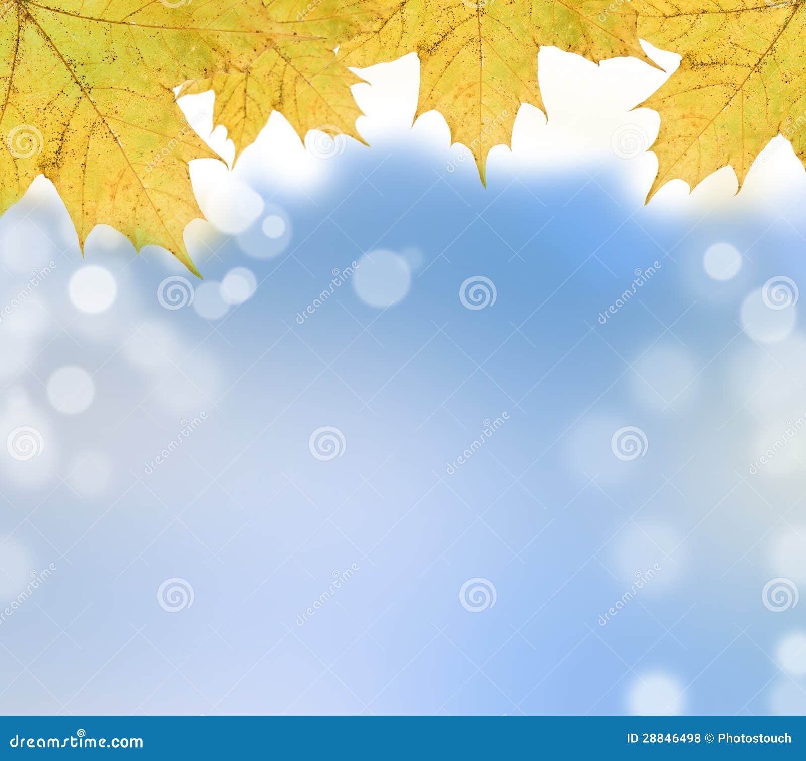 Autumn Leaves on Soft Background Stock Photo - Image of blue, autumnal ...