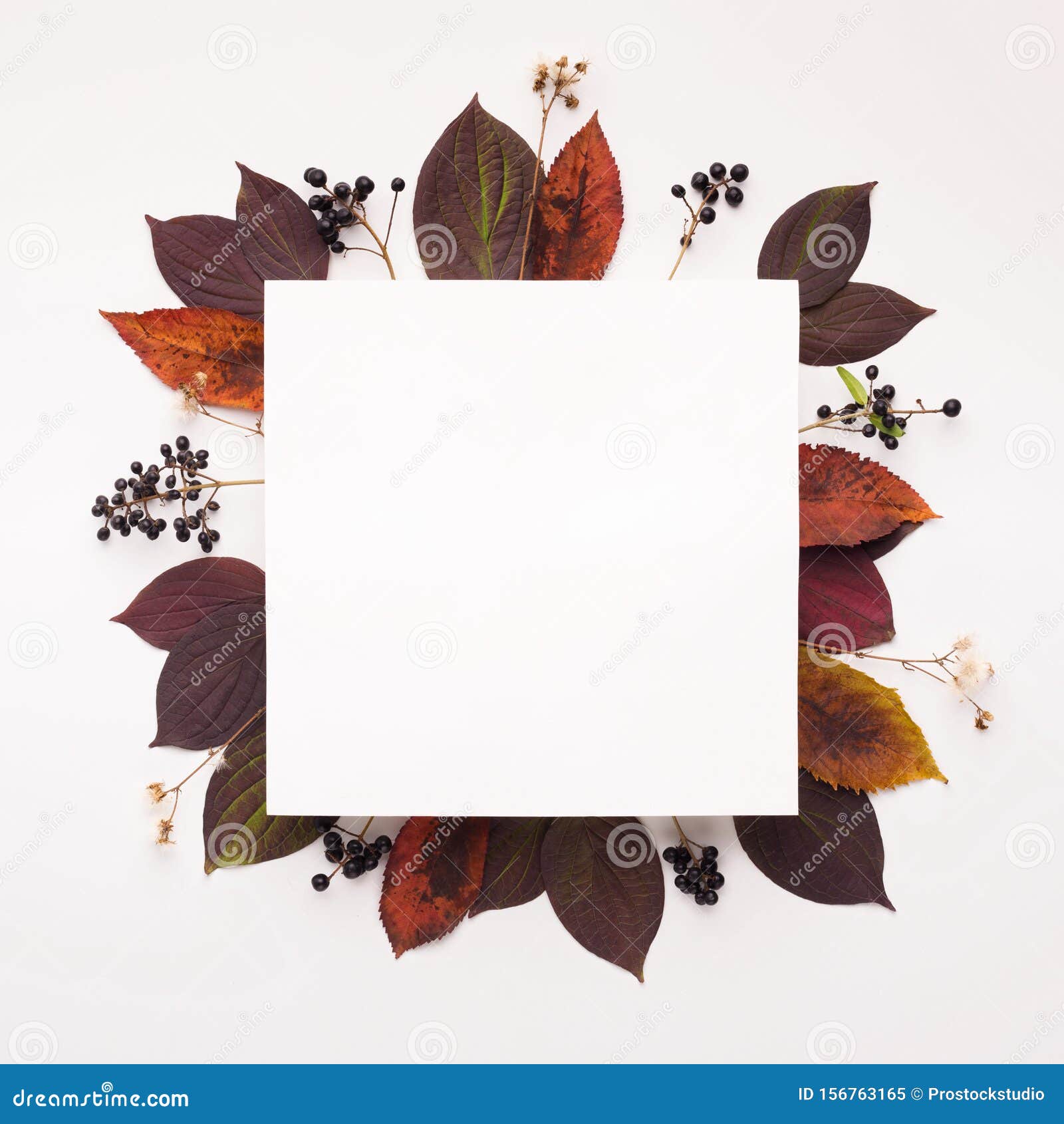 Autumn Leaves Square Frame with Copy Space Stock Image - Image of leaf ...