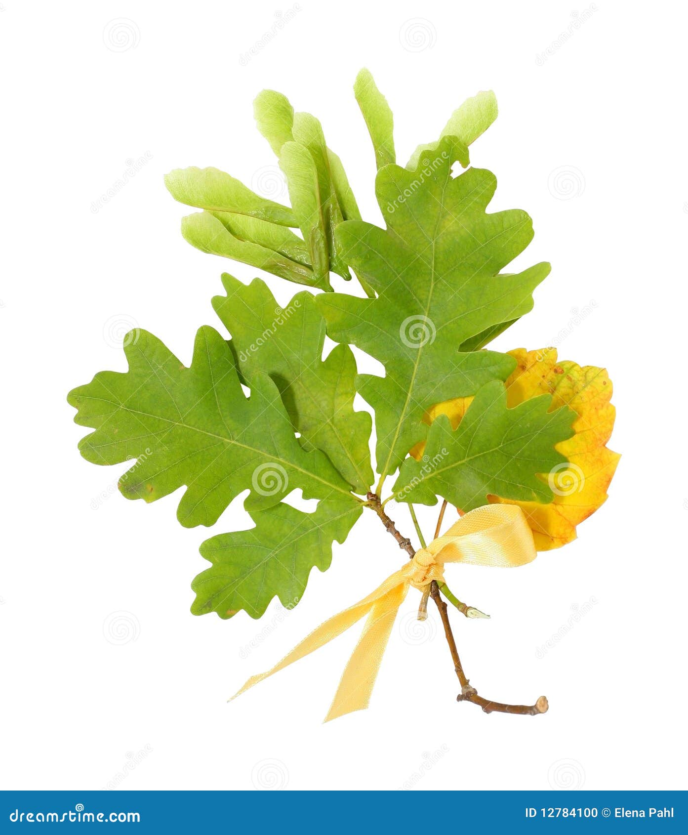 Autumn leaves stack stock illustration. Illustration of autumn - 12784100