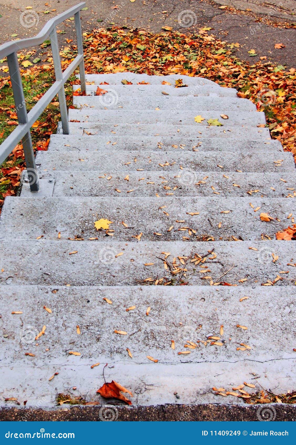 Autumn leaves stairs stock image. Image of sidwalk, path - 11409249