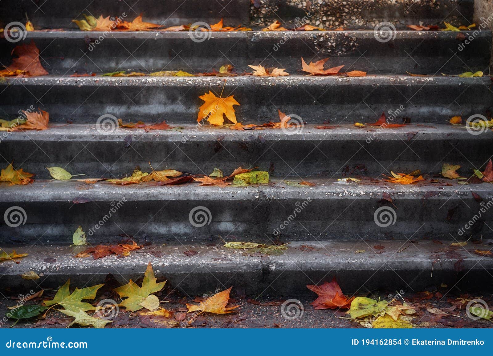 Autumn Leaves on the Stairs. Patterns Stock Photo - Image of forest ...