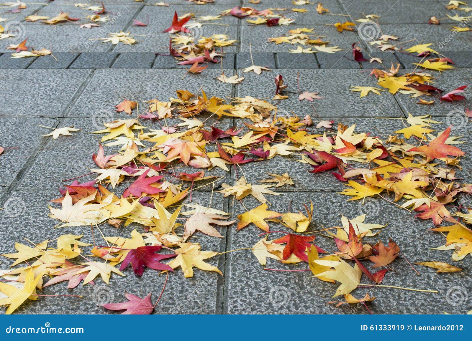Autumn Leaves in the Street. Stock Image - Image of season, autumn ...