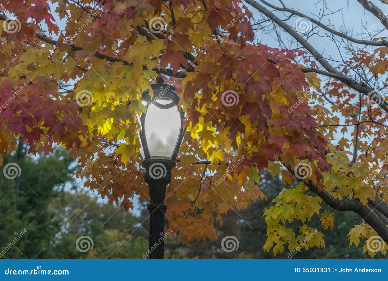 Autumn leaves street lamp stock image. Image of autumn - 65031831