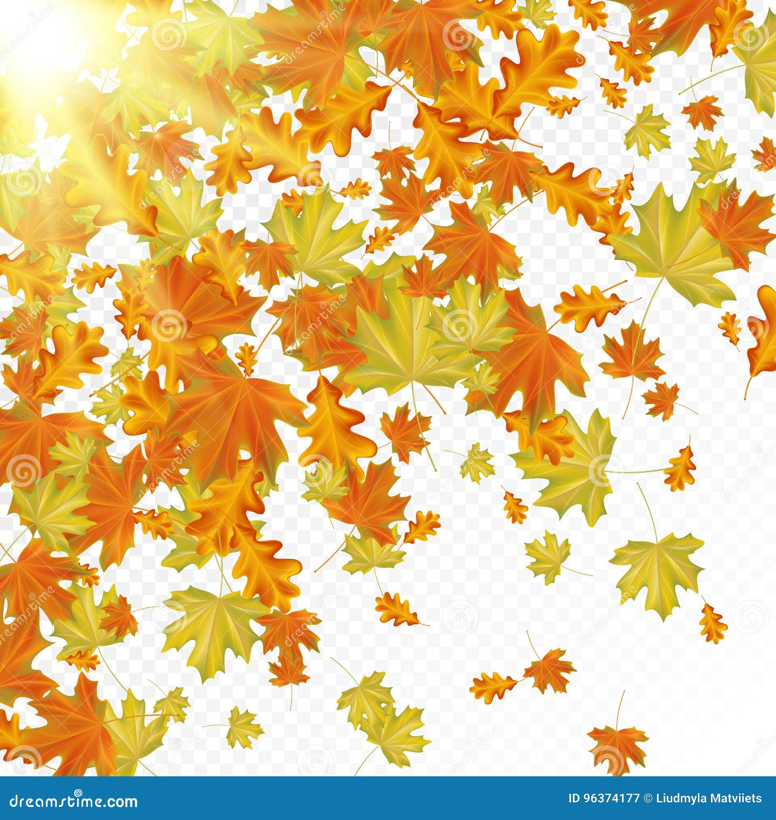 Autumn Leaves with Sun Rays. Stock Vector - Illustration of beautiful ...