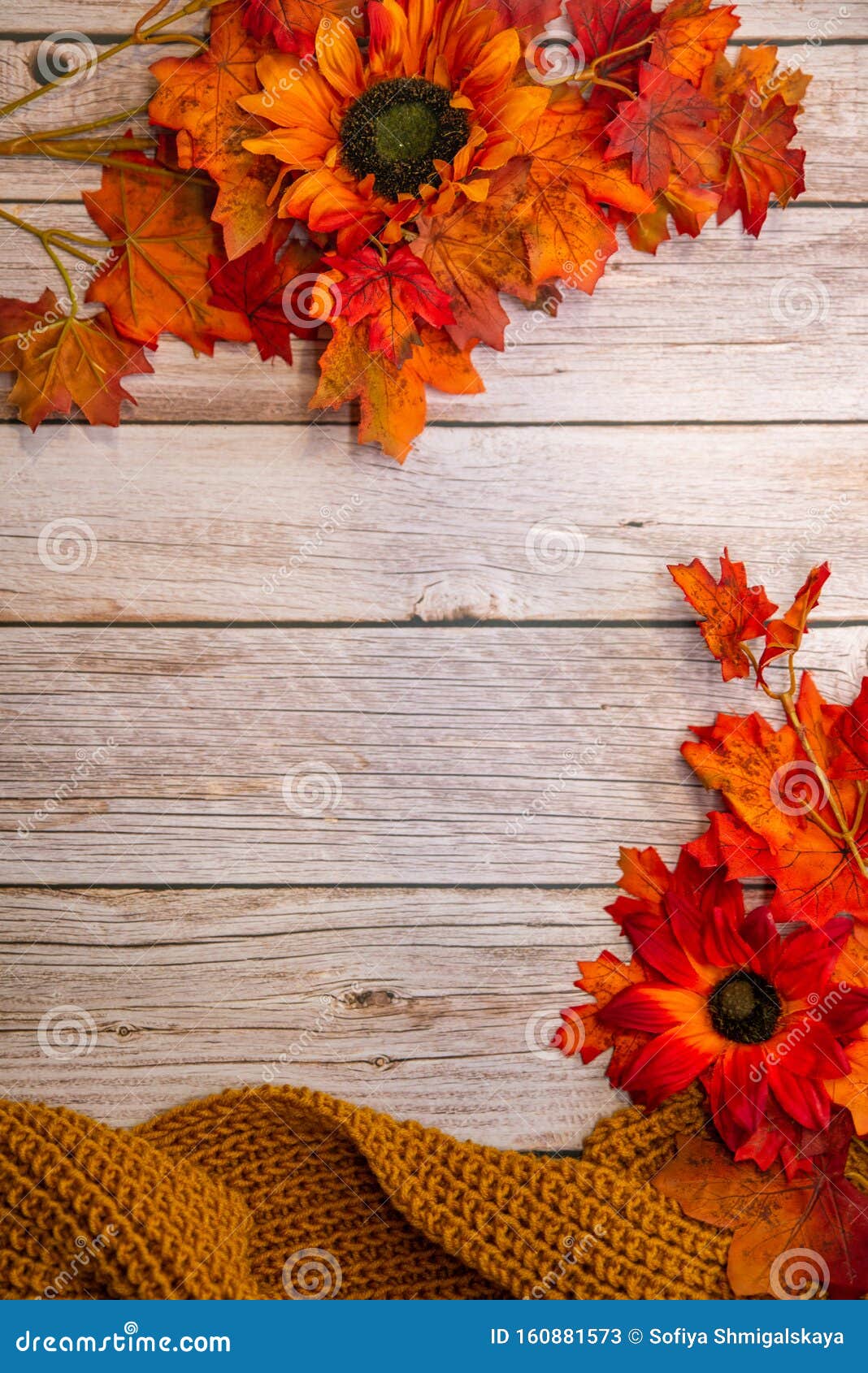 Autumn leaves on the table stock image. Image of border - 160881573