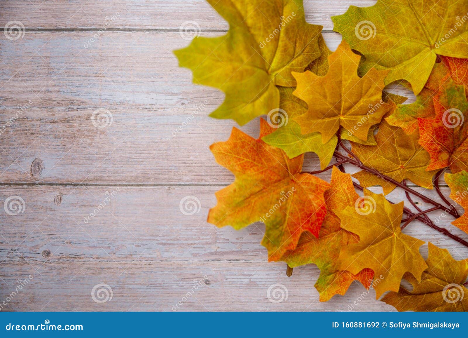 Autumn leaves on the table stock photo. Image of creative - 160881692