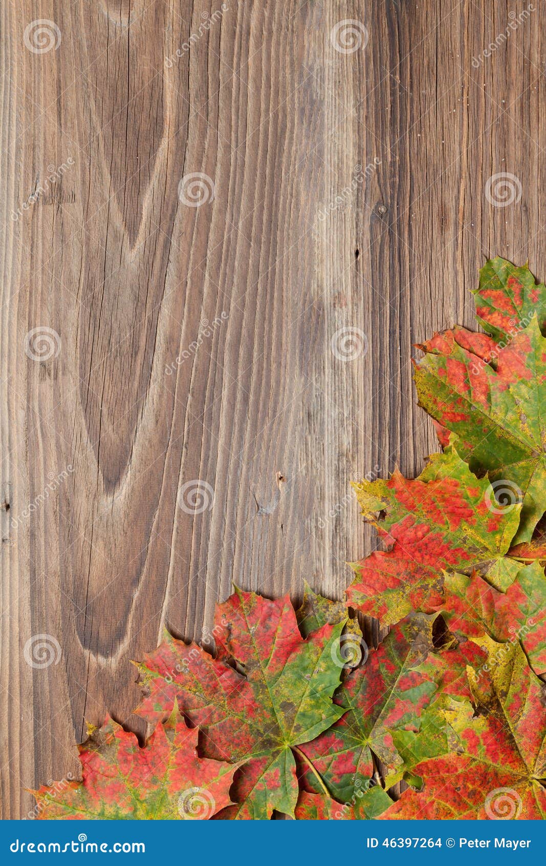 Autumn leaves on table stock photo. Image of copy, flora - 46397264