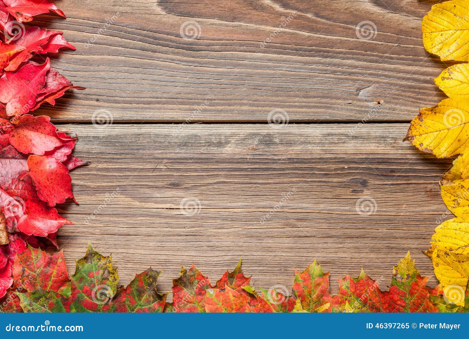 Autumn leaves on table stock image. Image of forest, closeup - 46397265