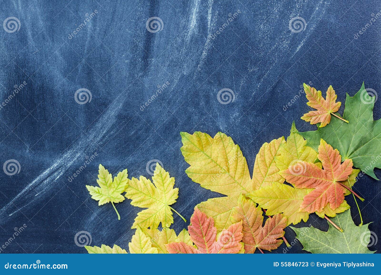 Autumn Leaves and the Teachers Board Stock Image - Image of educate ...