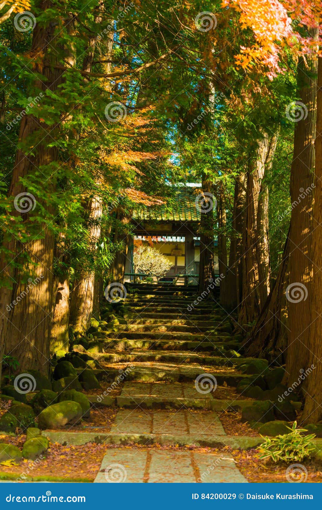 Autumn leaves in temple. stock image. Image of autumn - 84200029