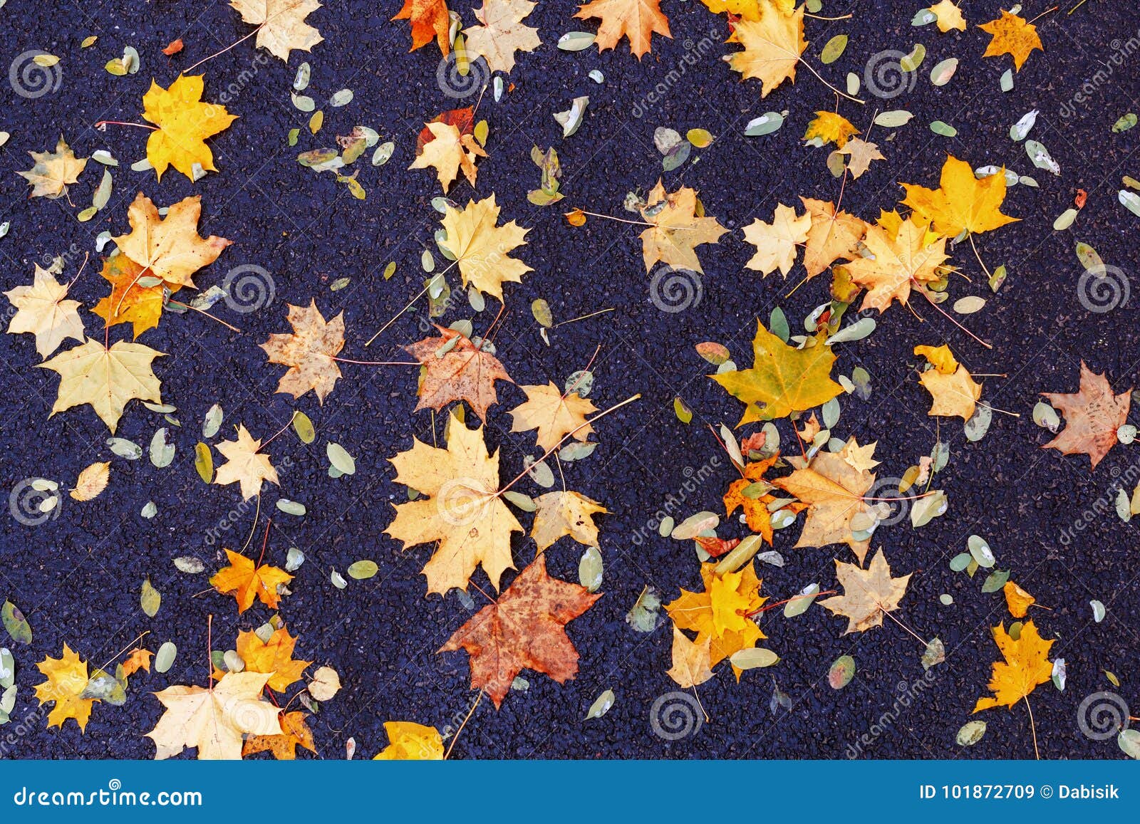 Autumn Leaves Texture imagen de archivo. Imagen de modelo - 101872709