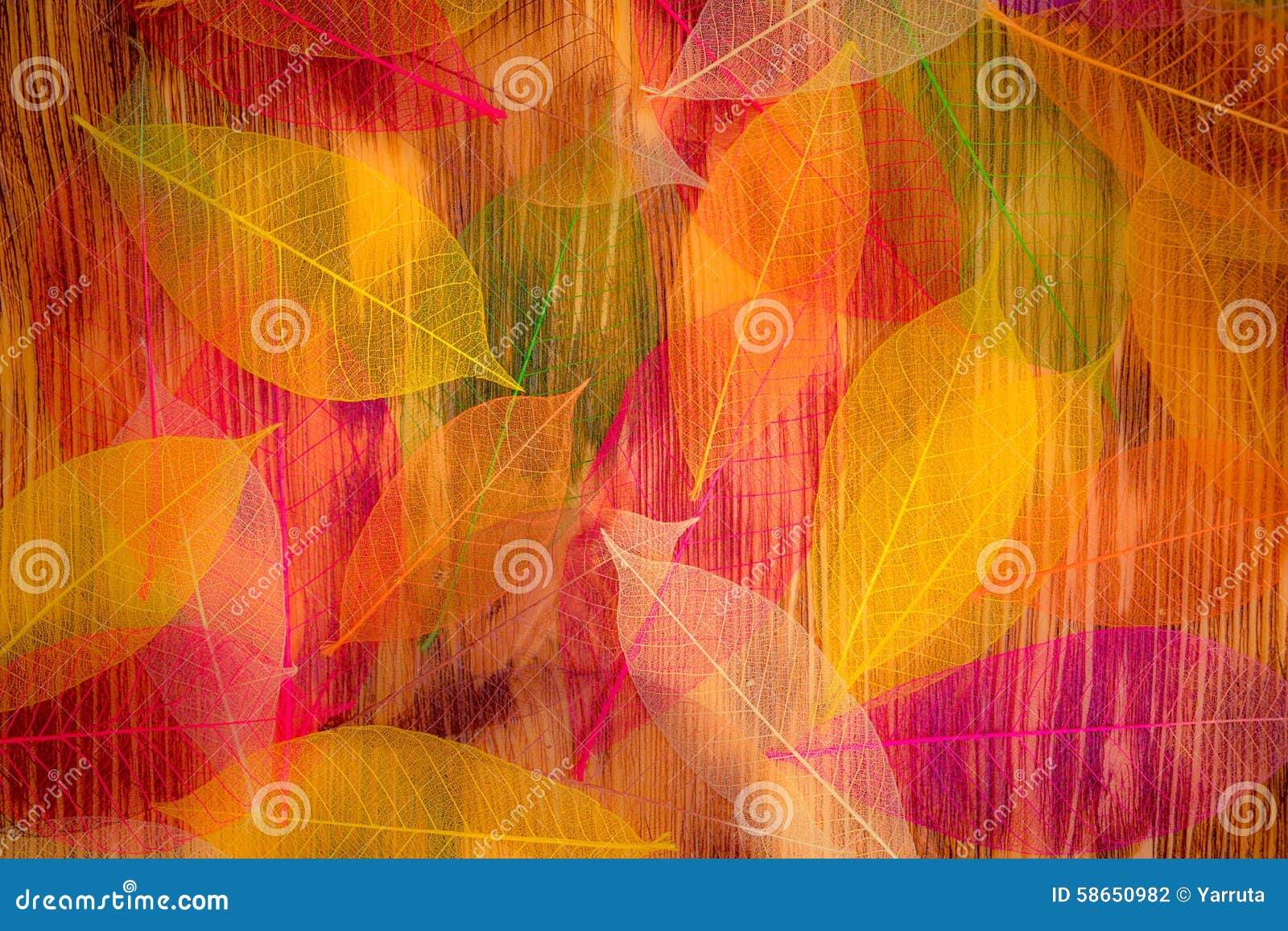 Autumn leaves texture stock photo. Image of fall, aged - 58650982