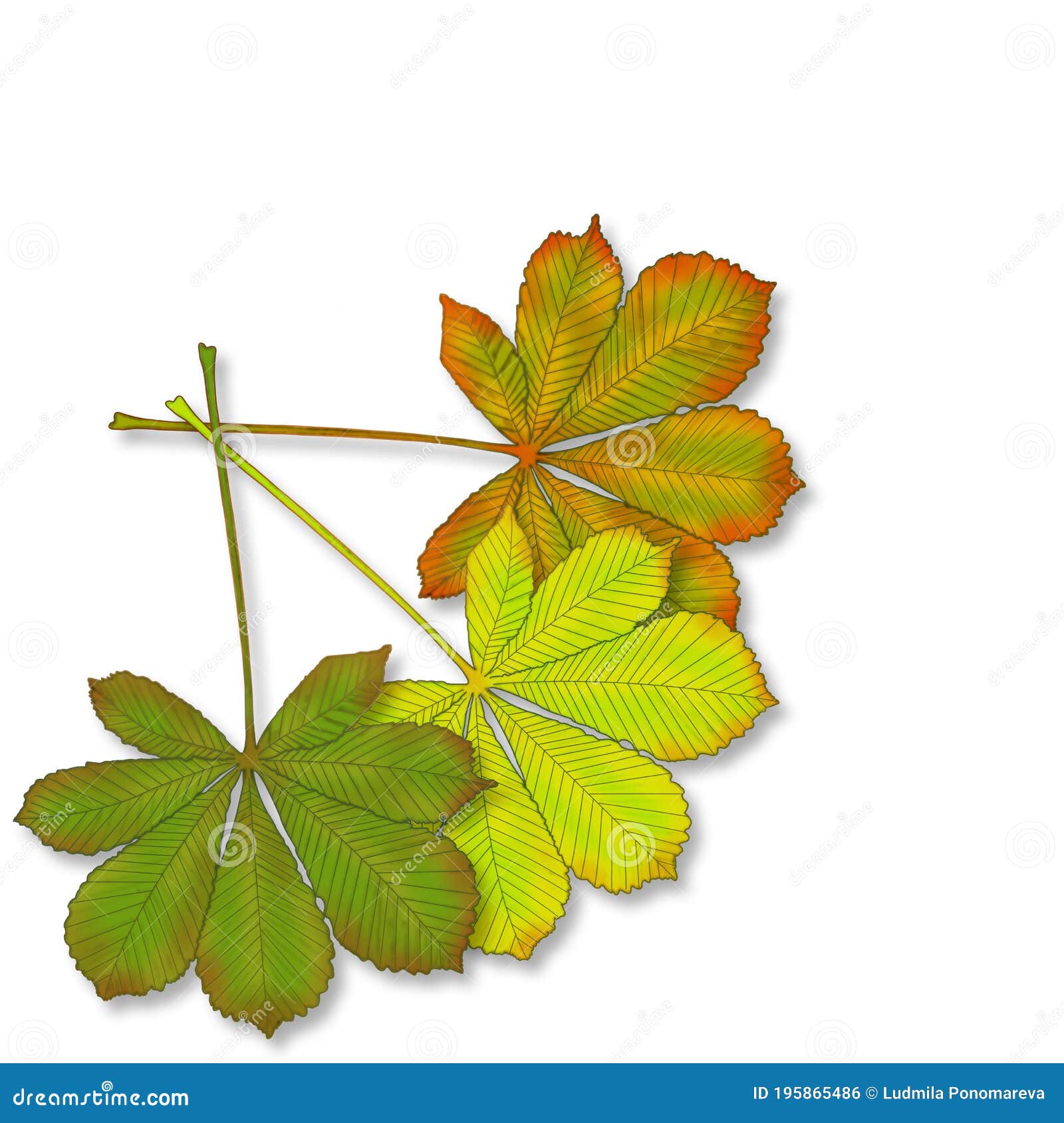 Autumn Leaves-the Theme of Autumn. Stock Illustration - Illustration of ...