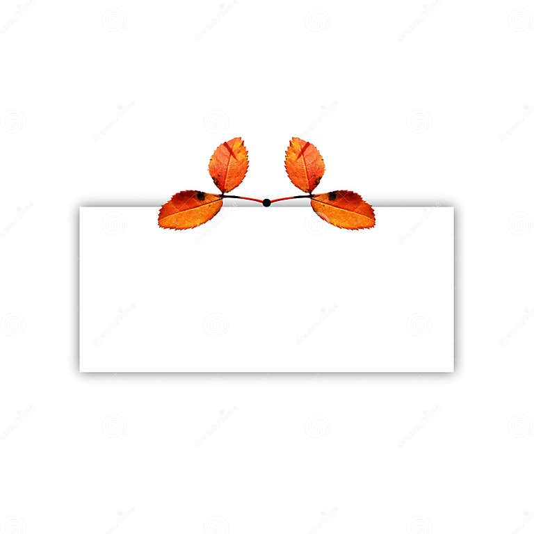 Autumn Leaves at the Top of a Rectangular Shape Stock Photo - Image of ...