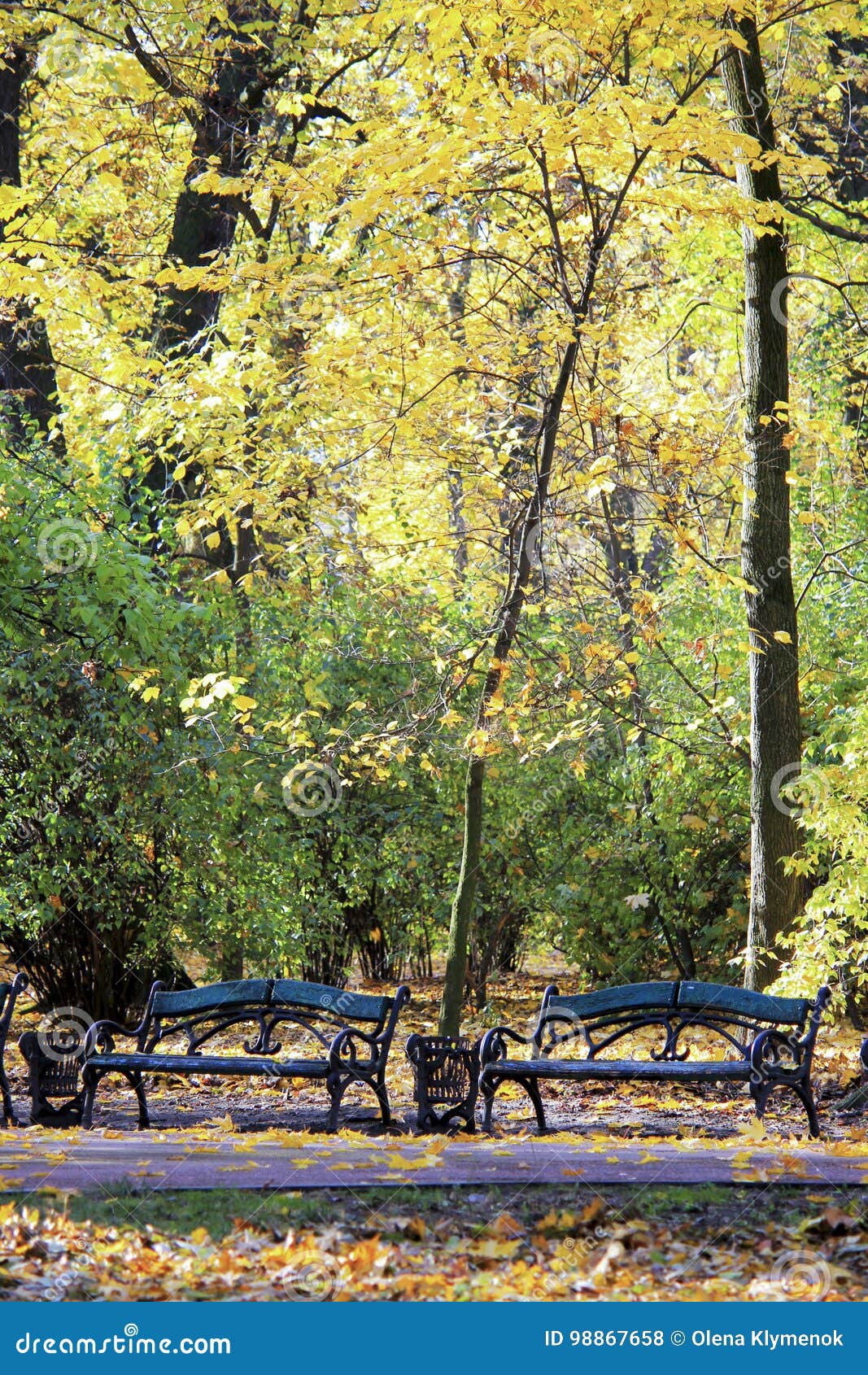 Autumn Leaves on a Tree. Warm Autumn Day. Stock Photo - Image of ... Autumn Leaves on a Tree. Warm Autumn Day. Stock Photo - Image of ...