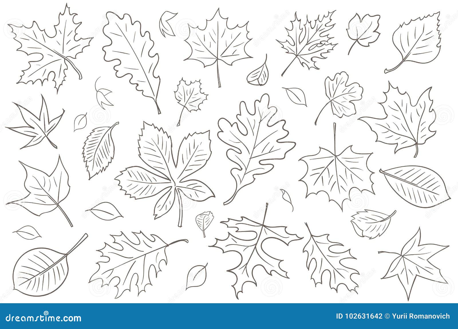 Autumn Leaves Vector Drawing. Stock Vector - Illustration of doodling ...
