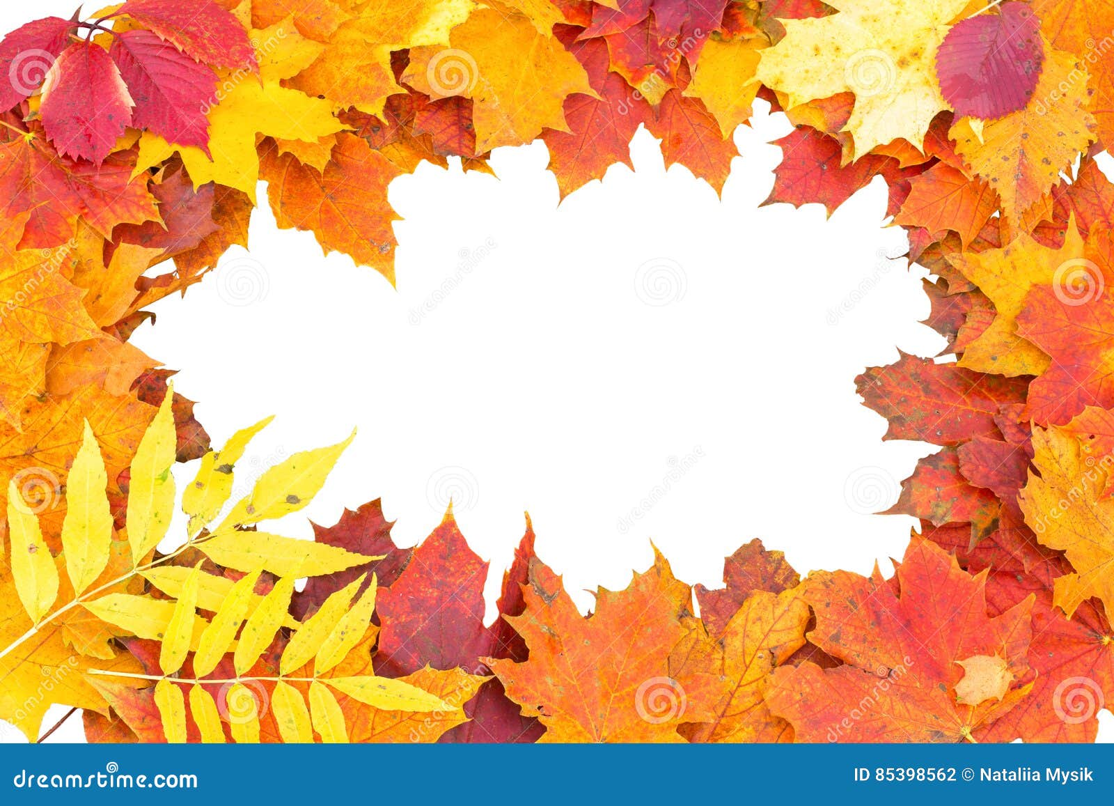 Autumn leaves vignette. stock photo. Image of dirty, background - 85398562
