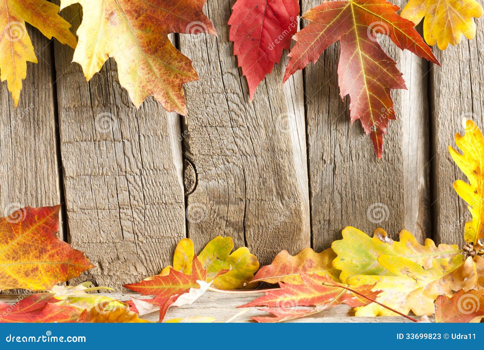 Autumn Leaves on Vintage Boards Background Stock Image - Image of board ...