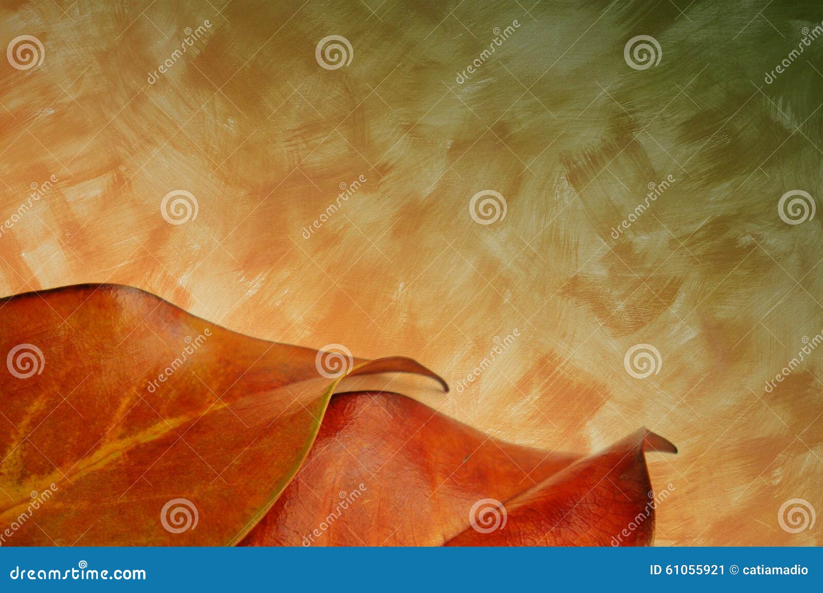Autumn leaves wall texture stock image. Image of textured - 61055921