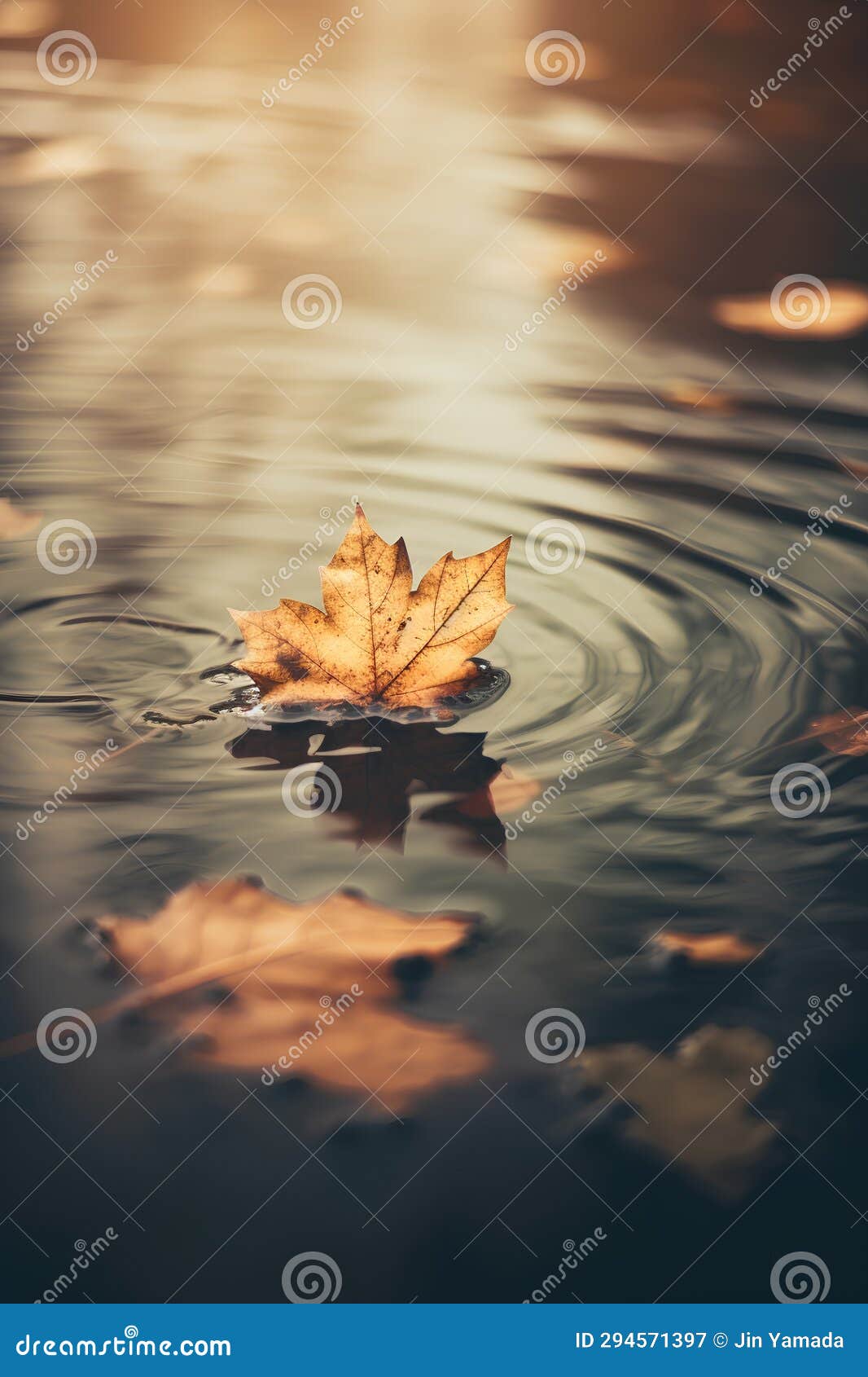 Autumn Leaves on Water Surface. Autumn Background. Selective Focus ...