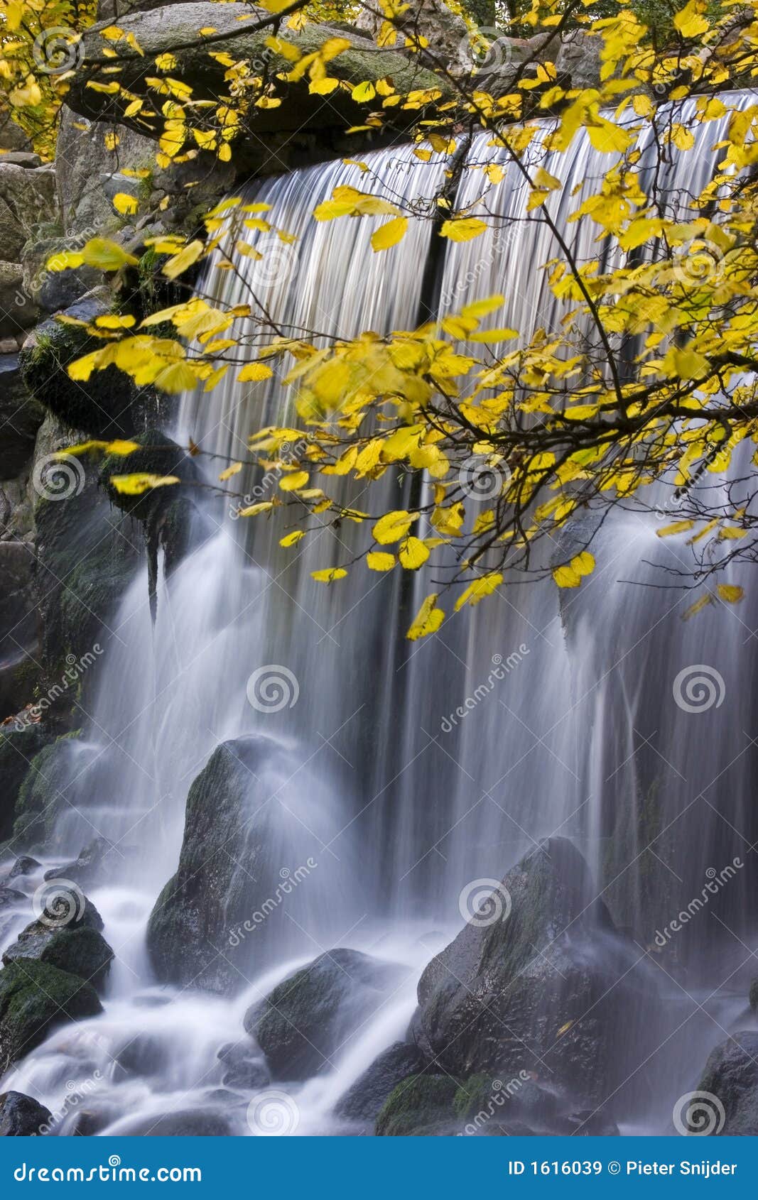 Autumn Leaves and Waterfall Stock Image - Image of arnhem, outdoor: 1616039